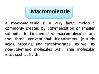 macromolecule & micromolecule | PPTX | Chemistry | Science