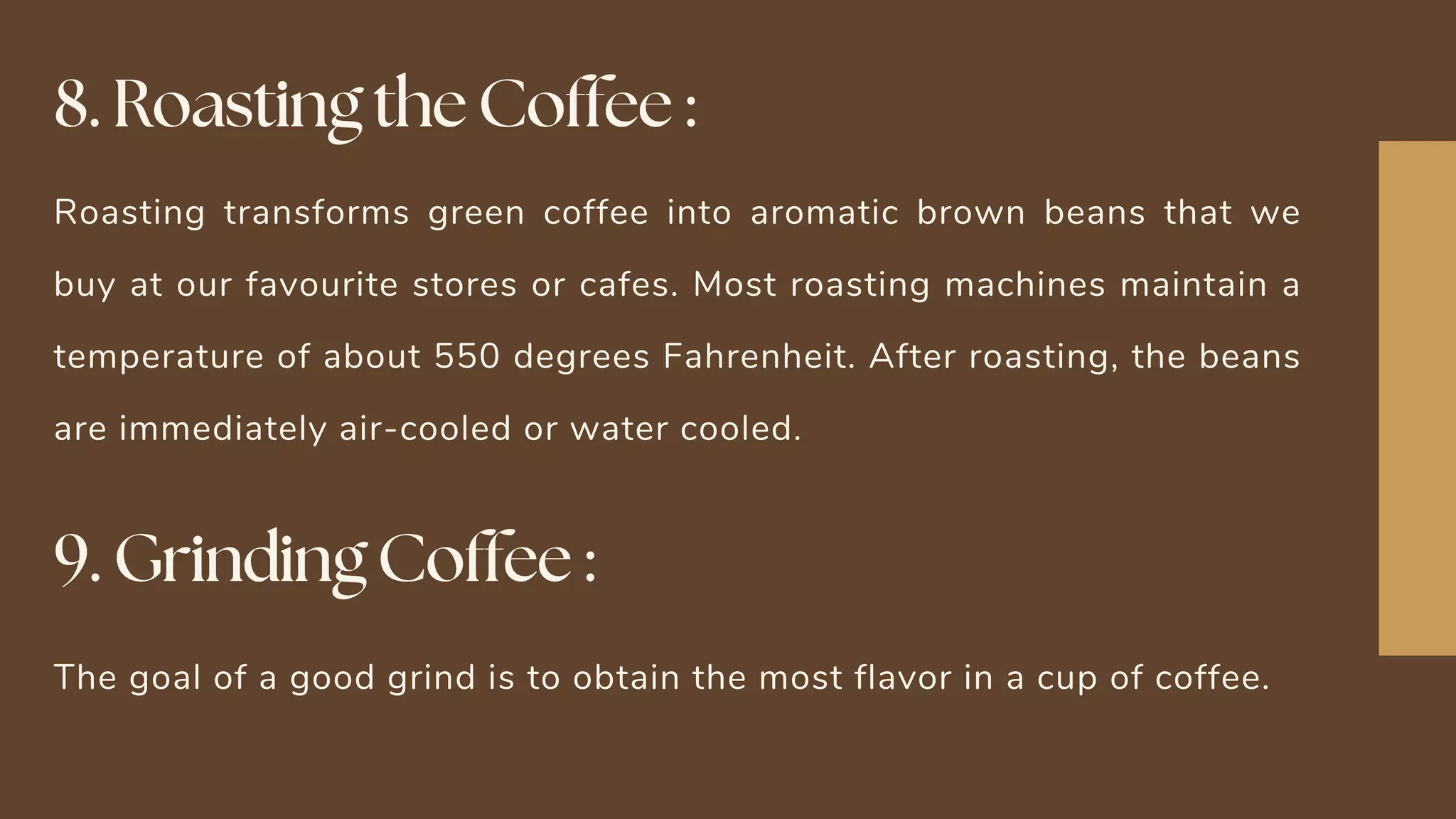 10 stages from seed to coffee mug | PPT