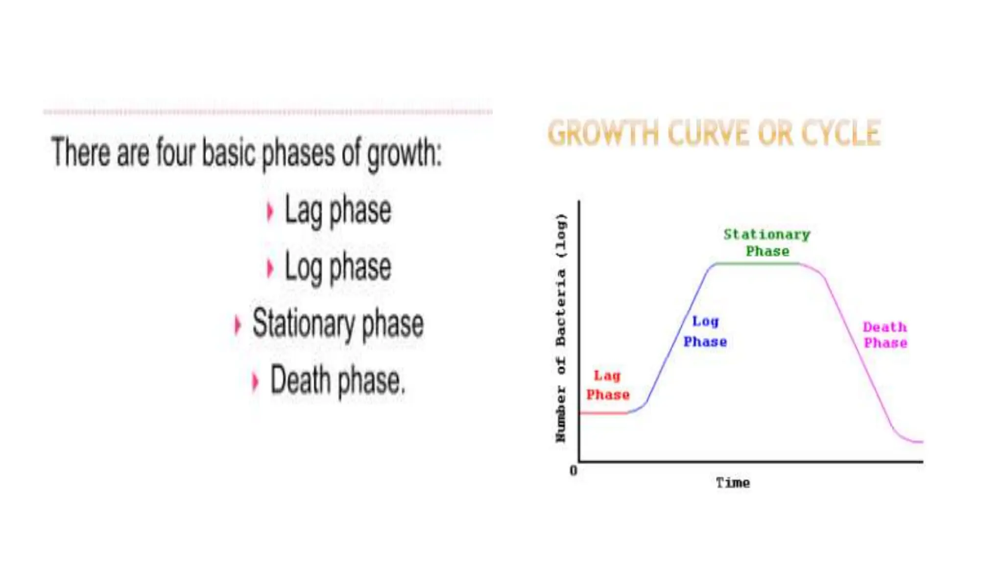 DPT - Stages in the normal growth curve | PPTX | Biological Sciences ...