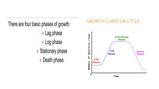 DPT - Stages in the normal growth curve | PPTX | Biological Sciences ...