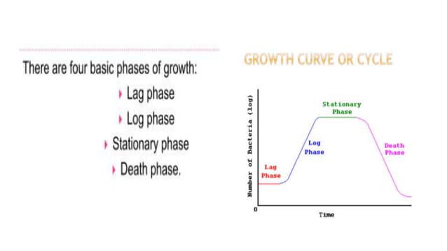 DPT - Stages in the normal growth curve | PPTX | Biological Sciences ...