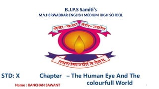 10 std Huma Eye and colourfull world.pptx