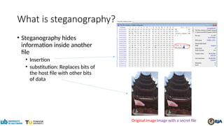 Basics of Steganography tutorial for begineers.pptx