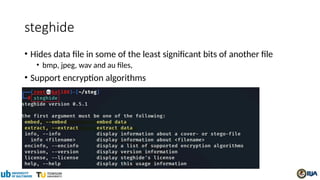 Basics of Steganography tutorial for begineers.pptx