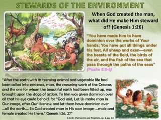 10 stewardship and environment | PPT