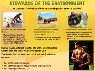 10 stewardship and environment | PPT
