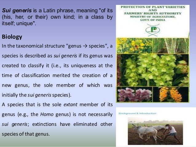 10 sui generis system