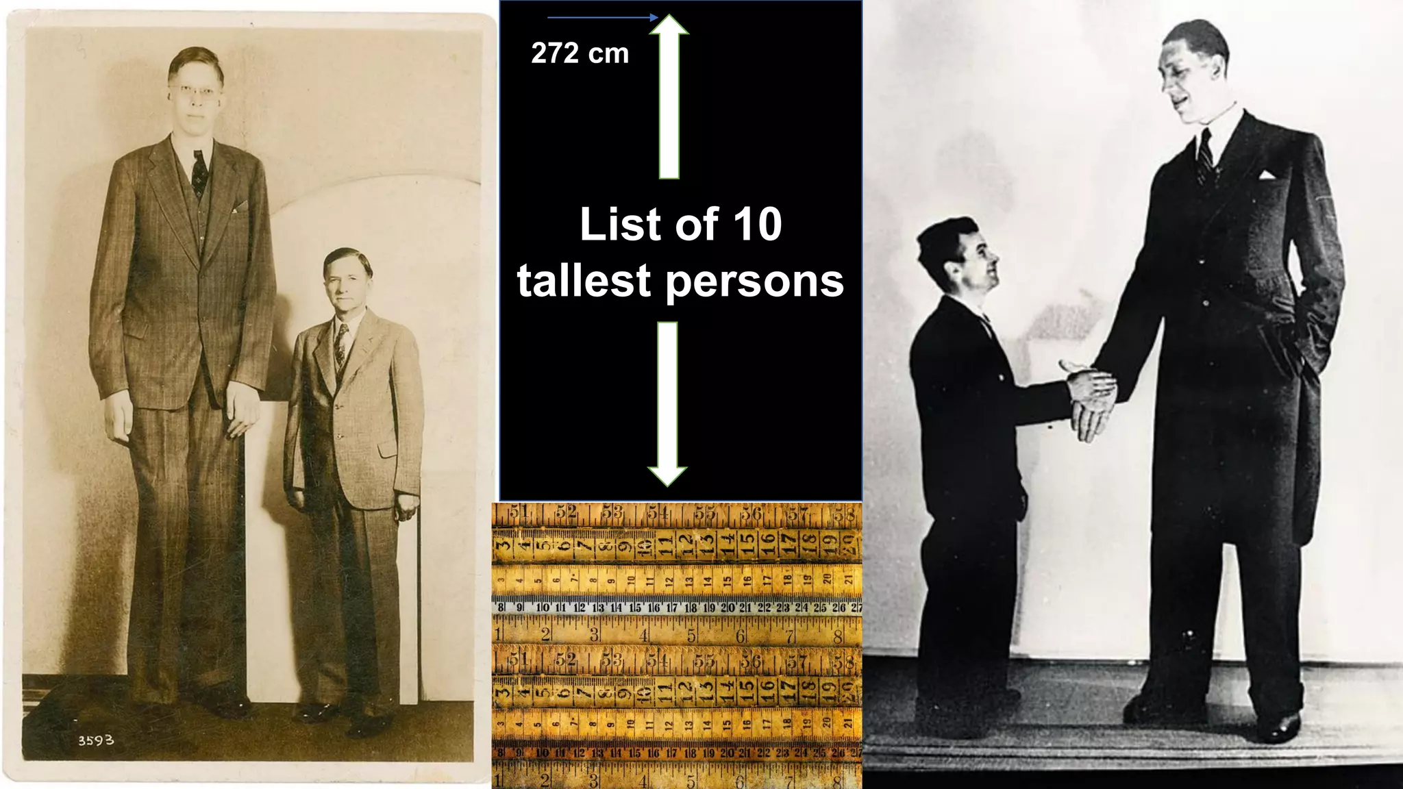 10 tallest persons | PDF