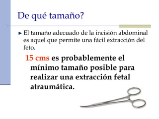 10 Tecnica quirurgica de la cesarea.pdf
