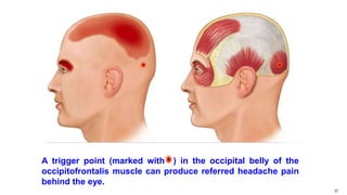 Lecture 10 temporomandibular joint | PPT