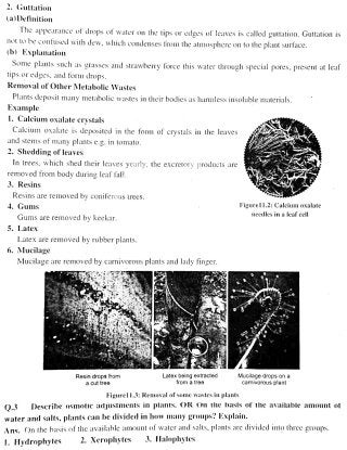 10th-bio-chapter-2-Long.pdf