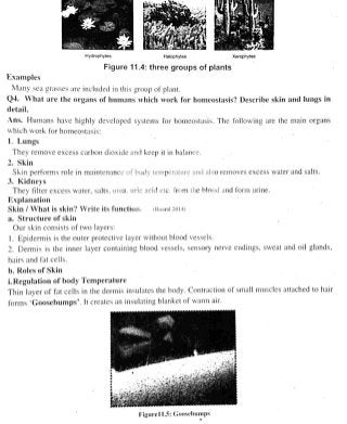 10th-bio-chapter-2-Long.pdf
