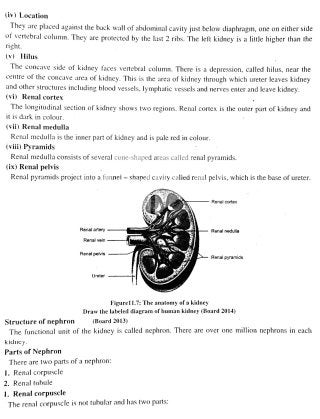 10th-bio-chapter-2-Long.pdf