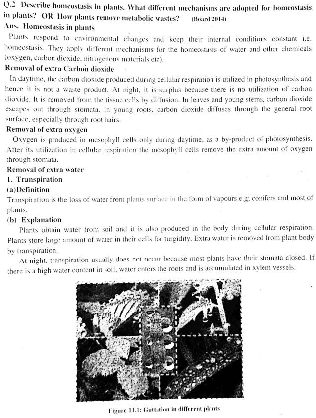 10th-bio-chapter-2-Long.pdf