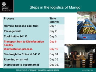 Mangoes – a conditional non-host for fruit flies? - Presentation from ...
