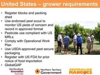 Michael Daysh - Australian Mangoes in the US | PPTX