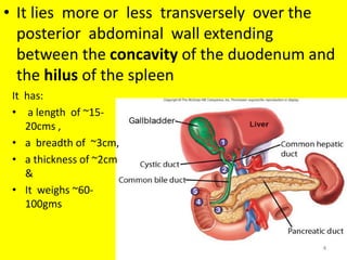 10 THE PANCREAS (1).pptx