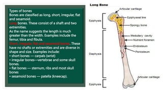 The skeletomuscular.ppsx