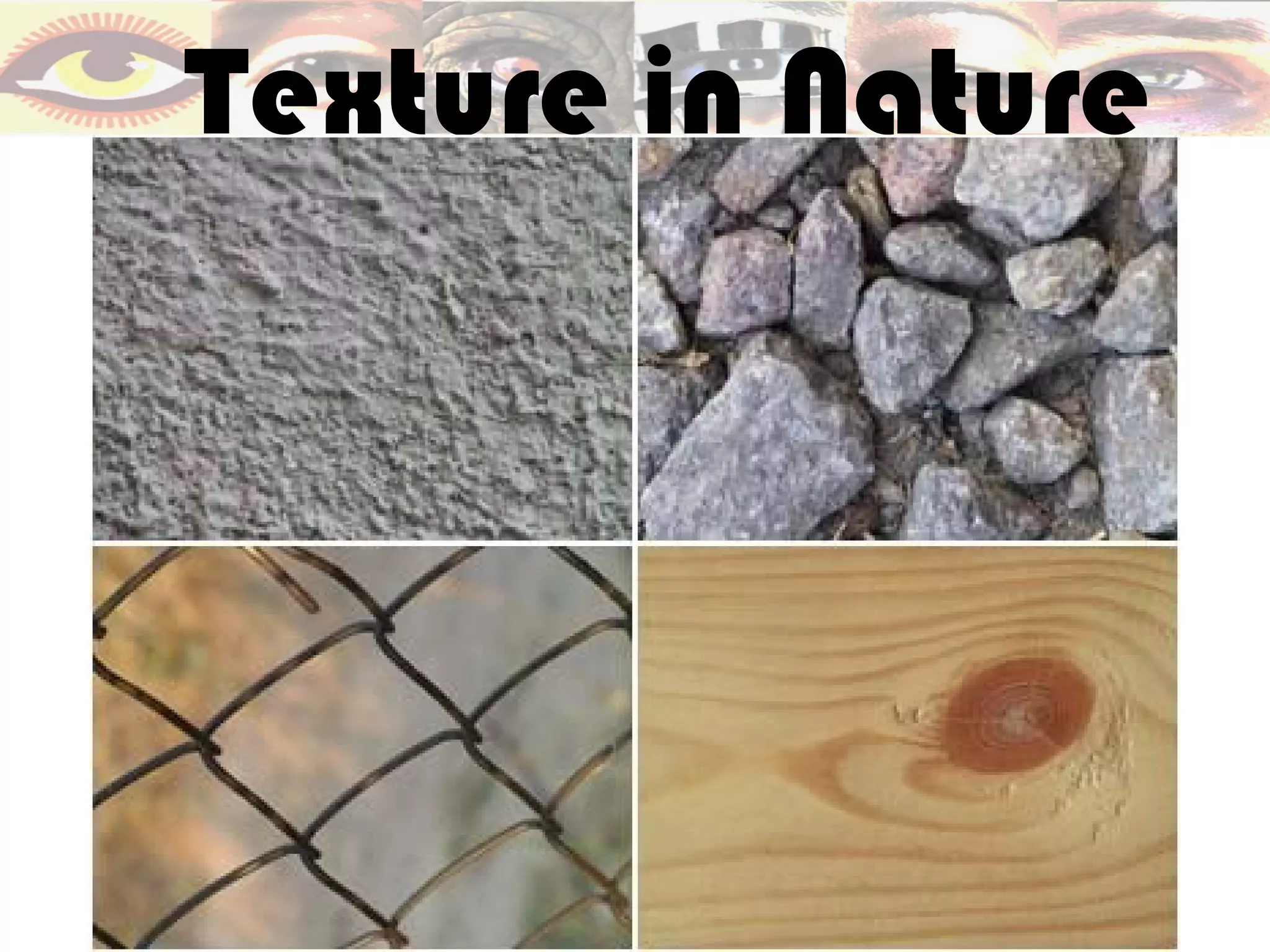 The Visual Elements of Art: TEXTURE | PPT