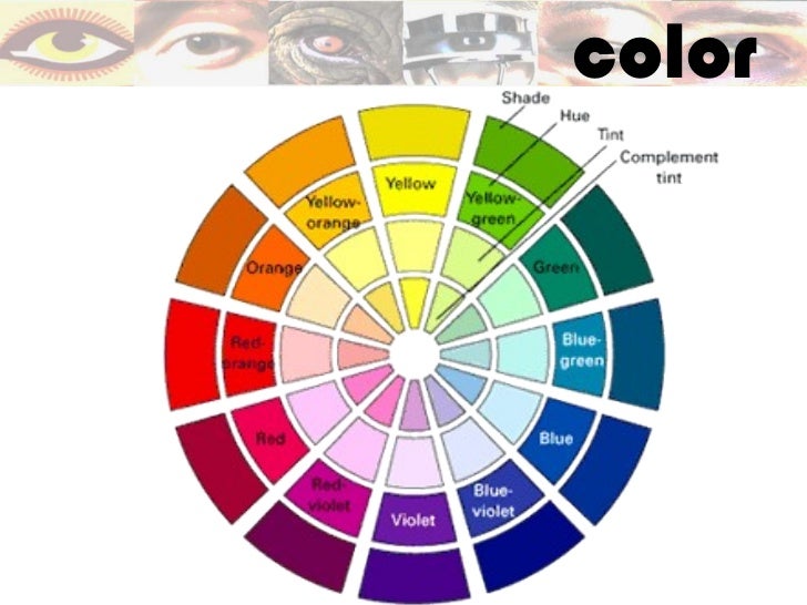 The visual elements of an image 5_color