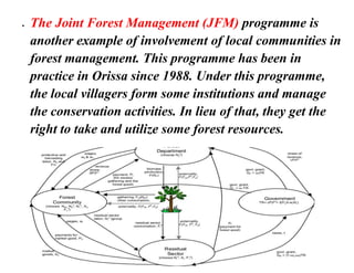 Forest and Wildlife Resources | PPTX