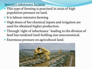 10th geo agriculture | PPTX