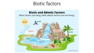 Biotic factors. Types of interactions 10 | PPTX