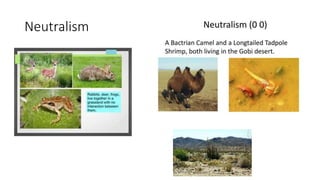 Biotic factors. Types of interactions 10 | PPTX