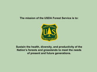 10 things about the forest service | PPT