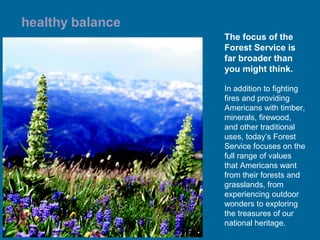 10 things about the forest service | PPT