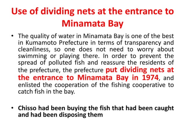 Minamata Disease.pptx