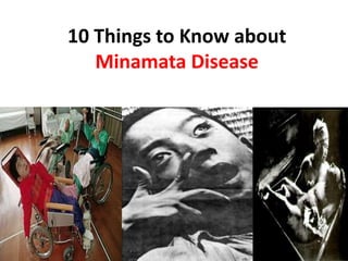 Minamata Disease