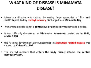 Minamata Disease Fish