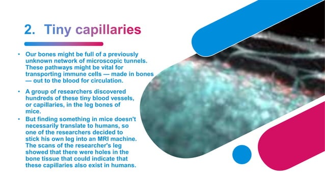 10 things we learned about humans in 2019 | PPT