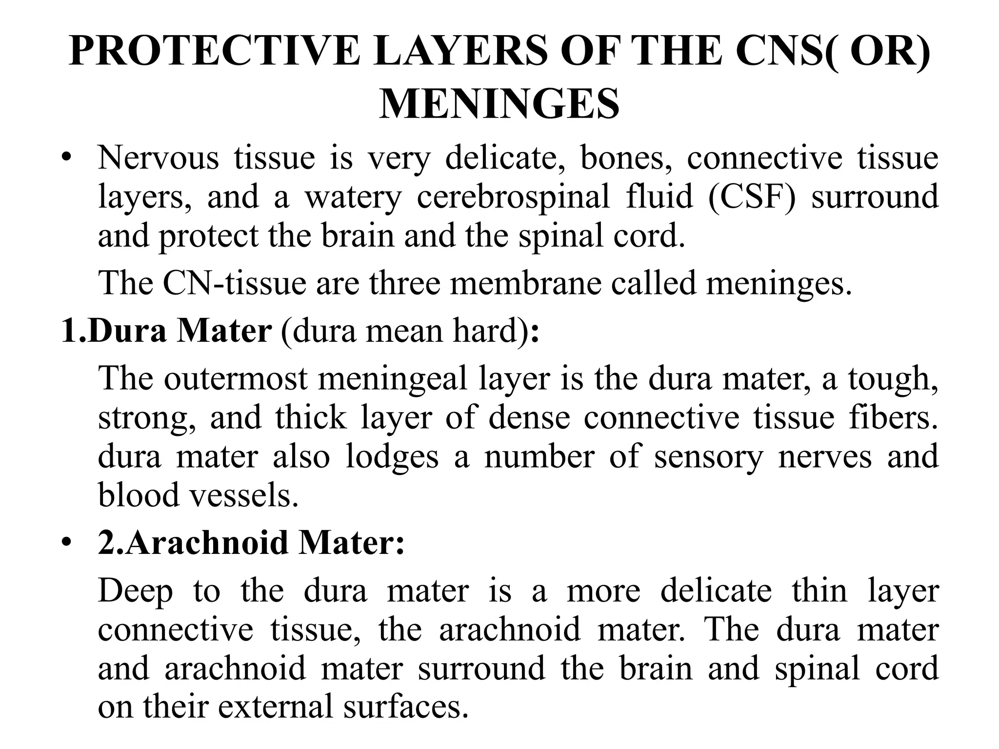 nervous system | PPTX