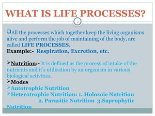 10th life process biology new for students.pptx