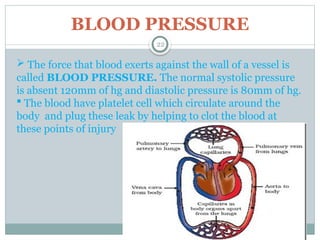 10th life process biology new for students.pptx