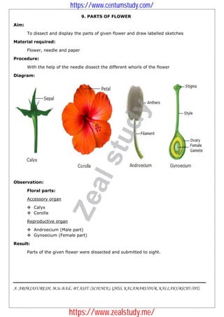 Practical Guide bbvvvvgghhhhhhhhjjjhhhhhhhhhhh | PDF