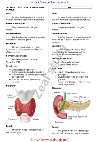 Practical Guide bbvvvvgghhhhhhhhjjjhhhhhhhhhhh | PDF