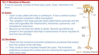 10th STD 15. NERVOUS SYSTEM ALL STRUCTURES(1).pptx