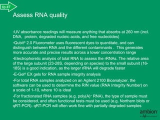 10 tips for working with RNA | PPT