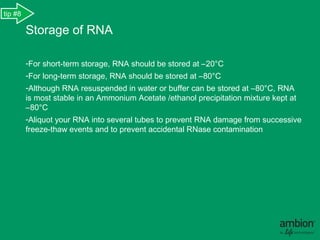 10 tips for working with RNA | PPT