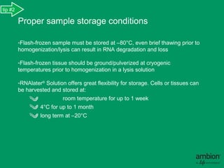 10 tips for working with RNA | PPT