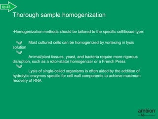 10 tips for working with RNA | PPT