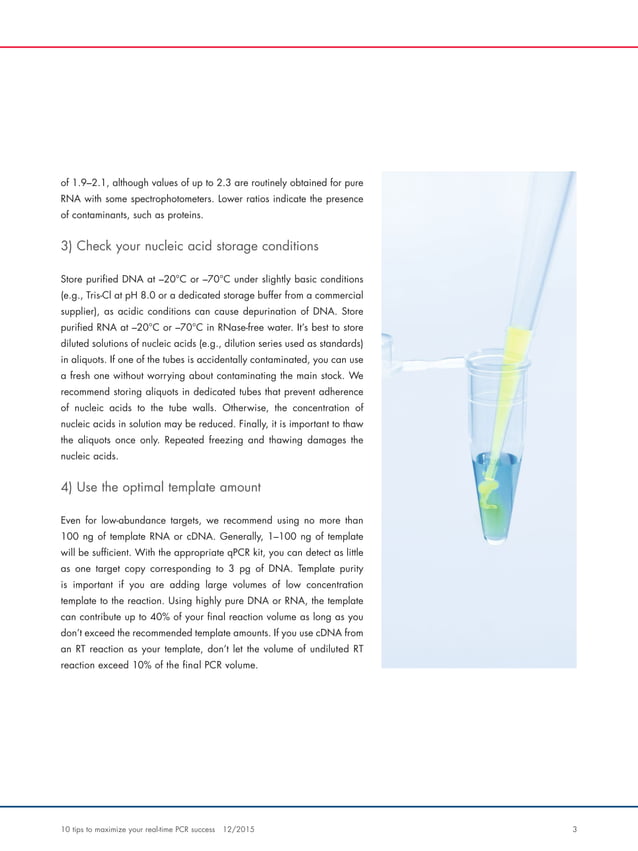 10 Tips to maximize your Real Time PCR Success - Download the Technical ...