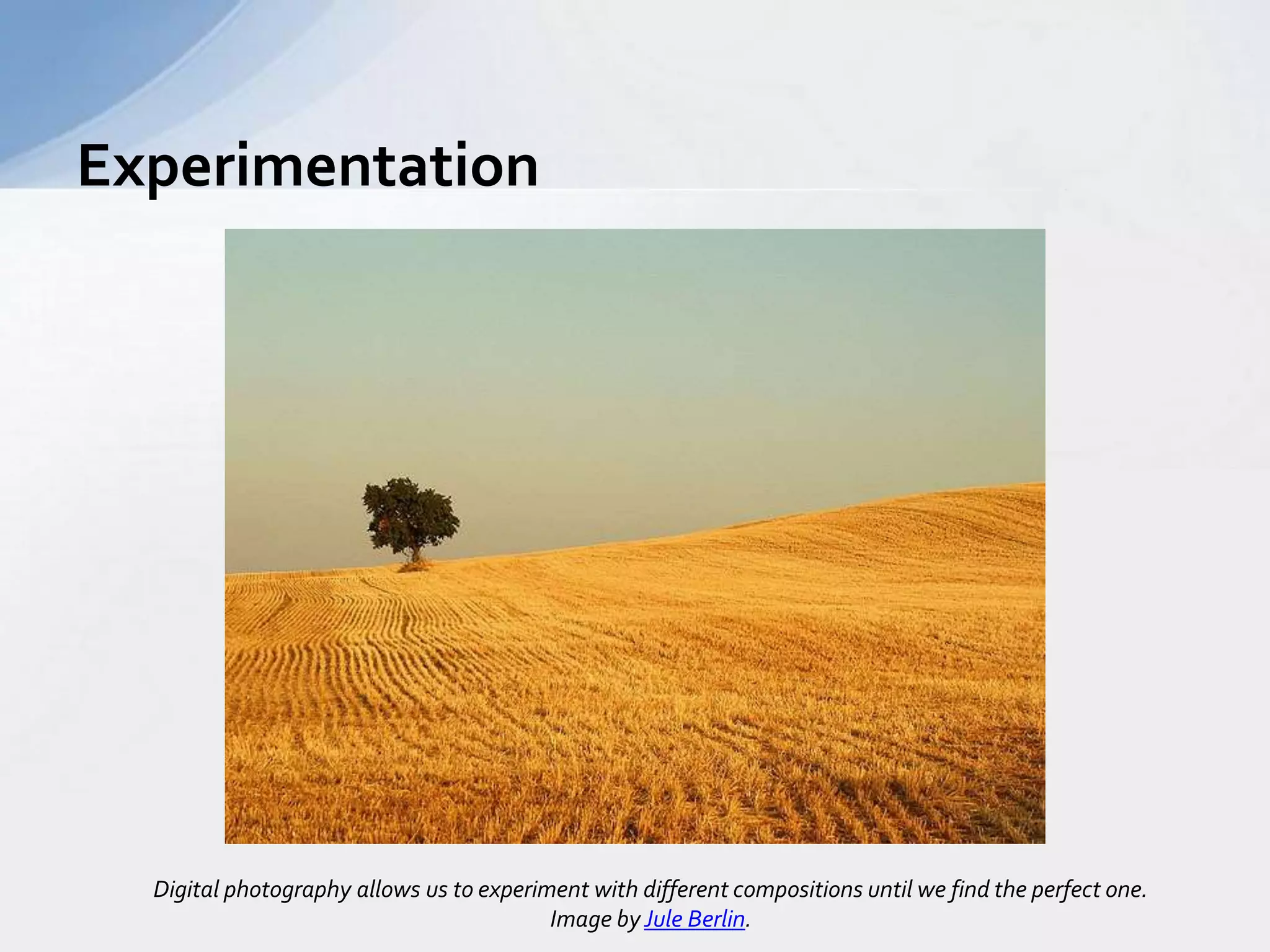 10 top photography composition rules | PPTX