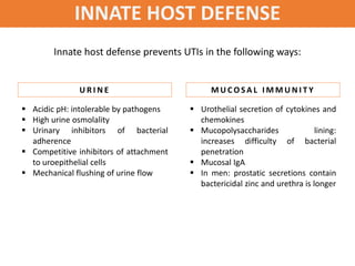Urinary Tract Infections | PPTX