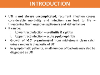 Urinary Tract Infections | PPTX