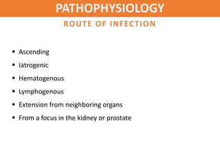 Urinary Tract Infections | PPTX