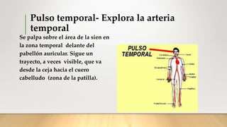 10 VALORACIÓN DE LOS SIGNOS VITALES Y PULSOS PERIFERICOS.ppt